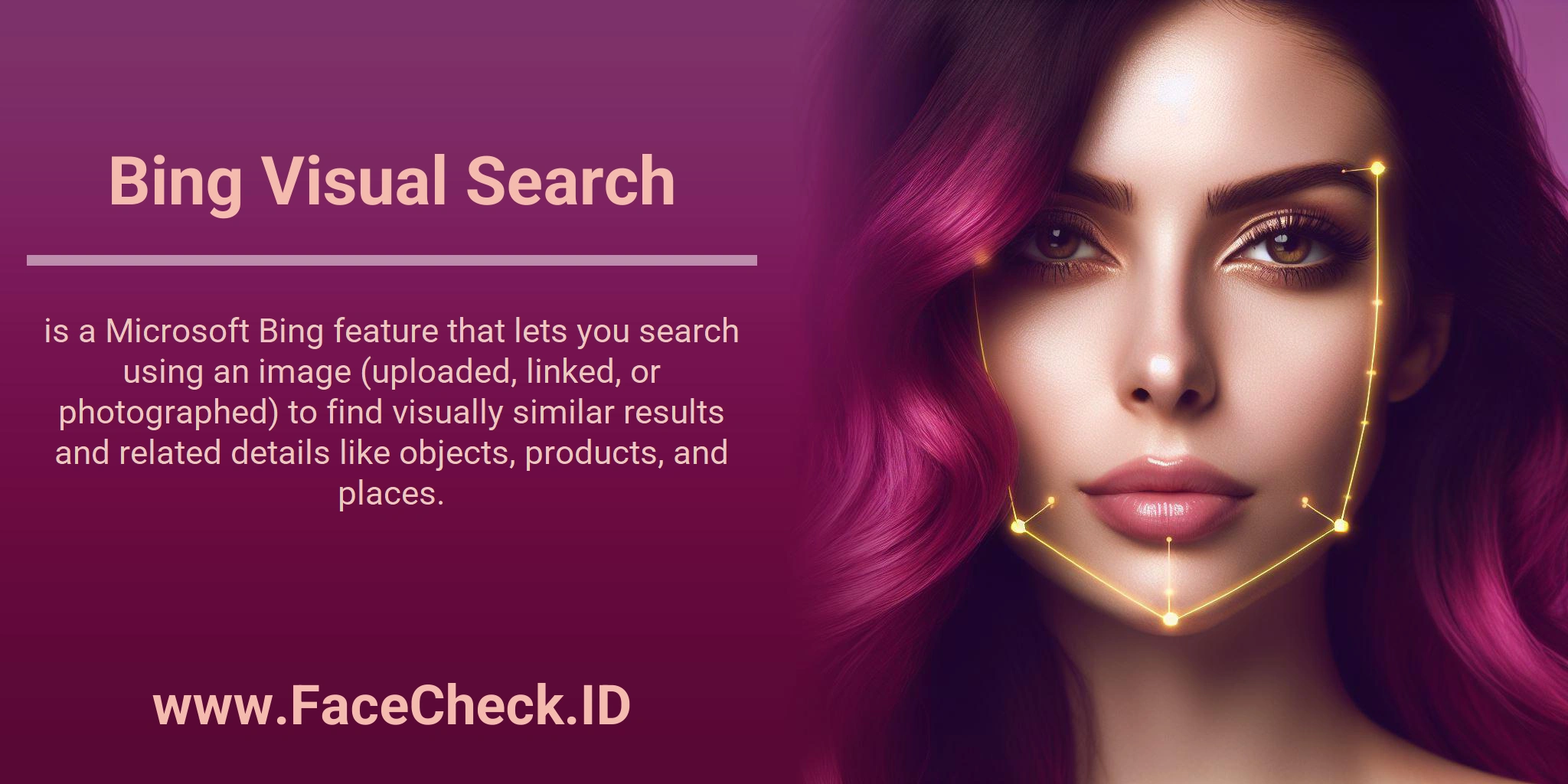 Bing Visual Search Explained: Search the Web by Image